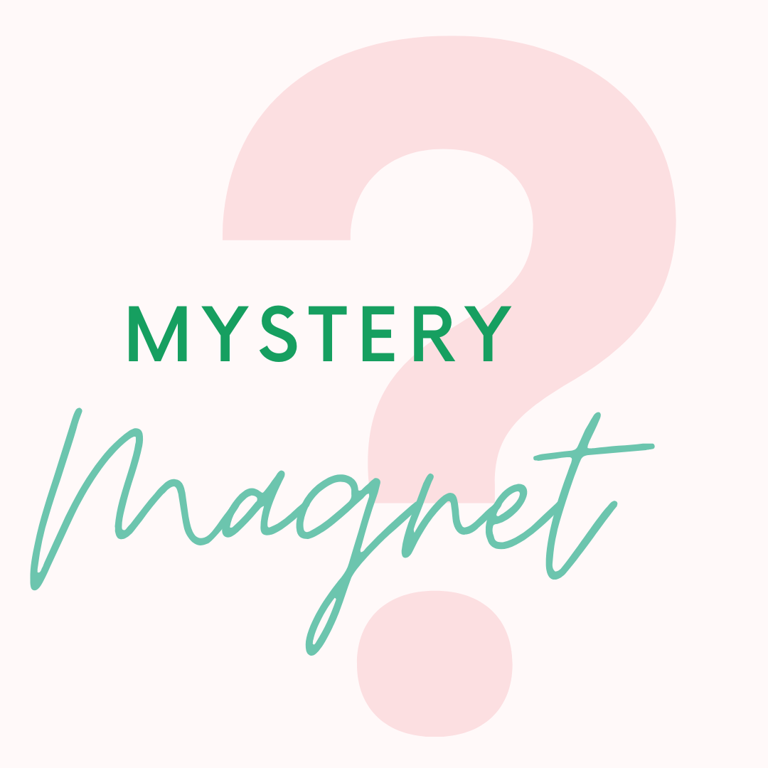 $5 Mystery Magnet – Stylin Brunette